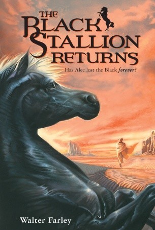 The Black Stallion Book Summary